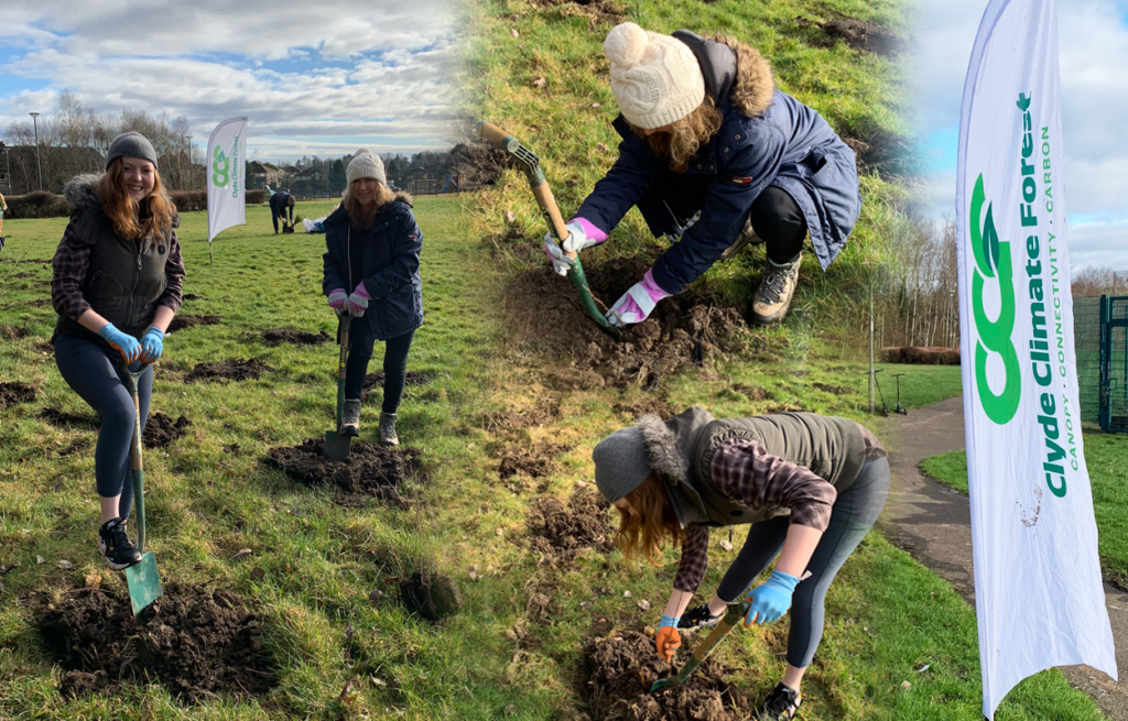 Tree planting initiative with Clyde Climate Forest - JTCP